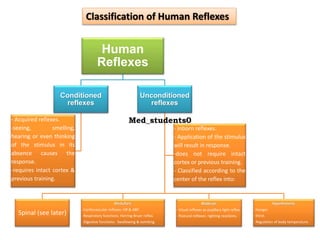 Human reflexes | PPTX