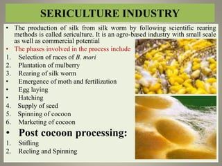 1399_sericulture ppt.pptx