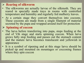 1399_sericulture ppt.pptx