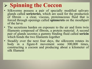 1399_sericulture ppt.pptx