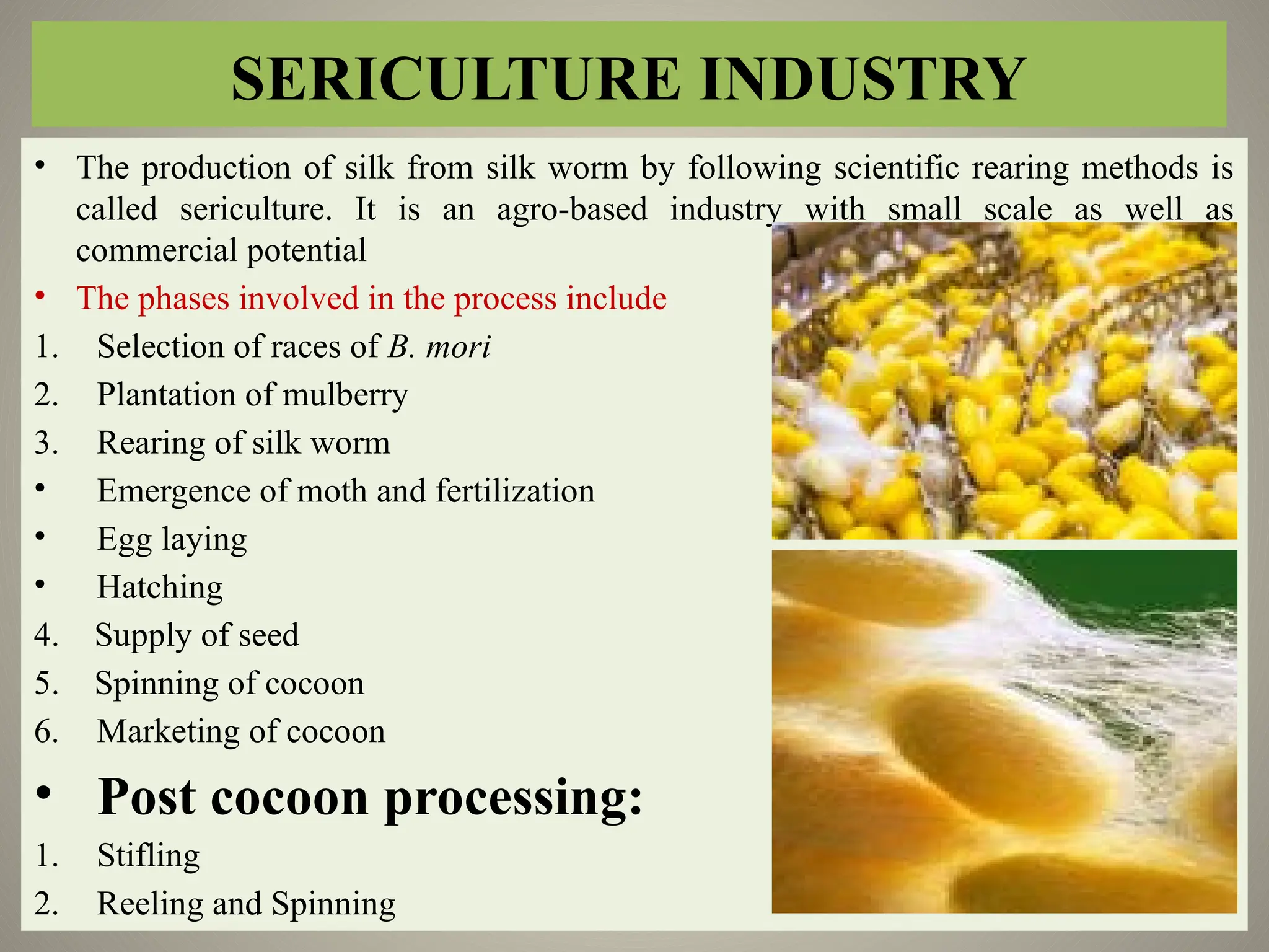 sericulture rearing types and cultivation | PPTX