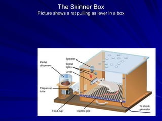 139 chapter 11 PPT with captions for Visual.ppt