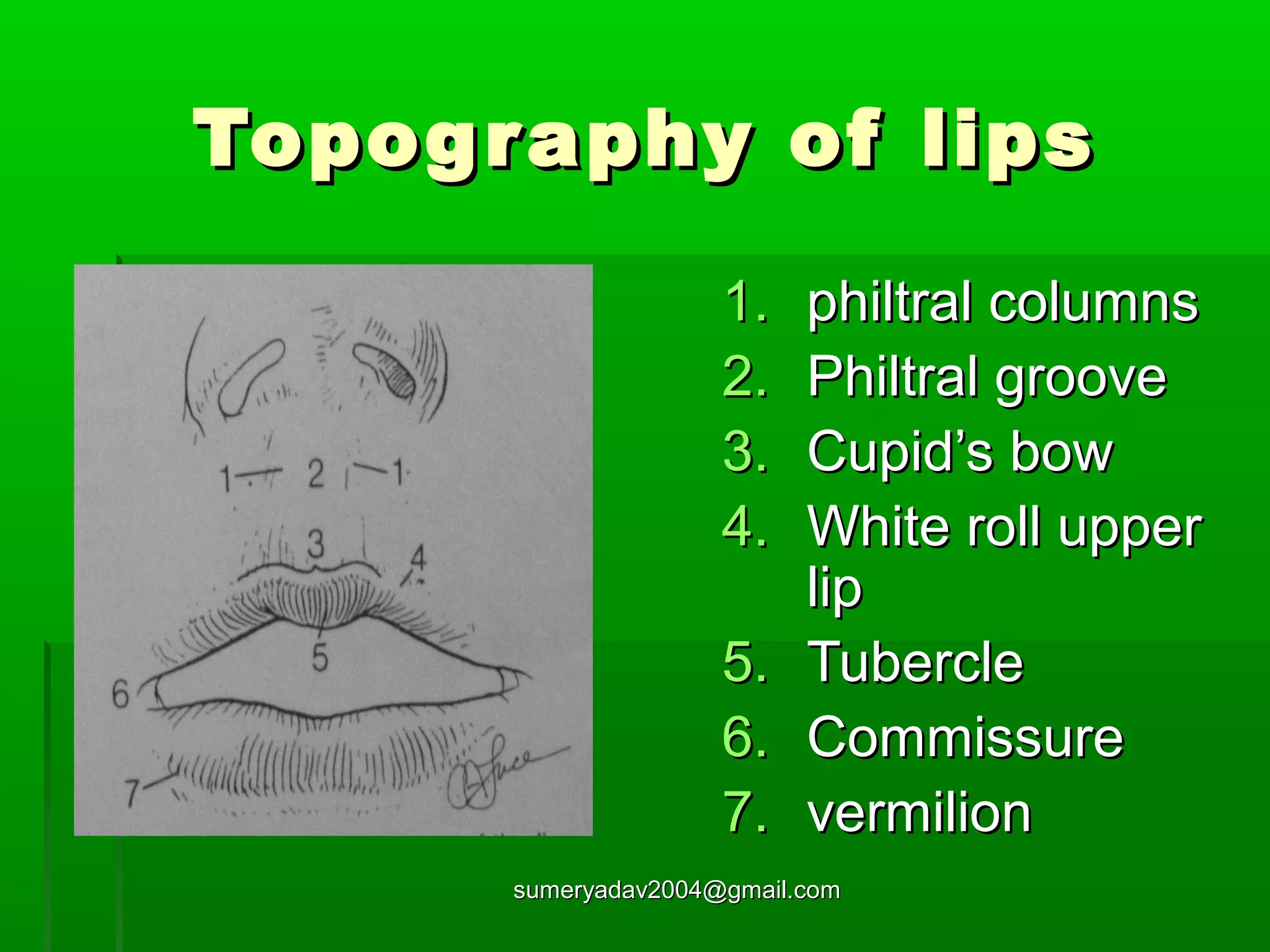 lip reconstruction | PPT