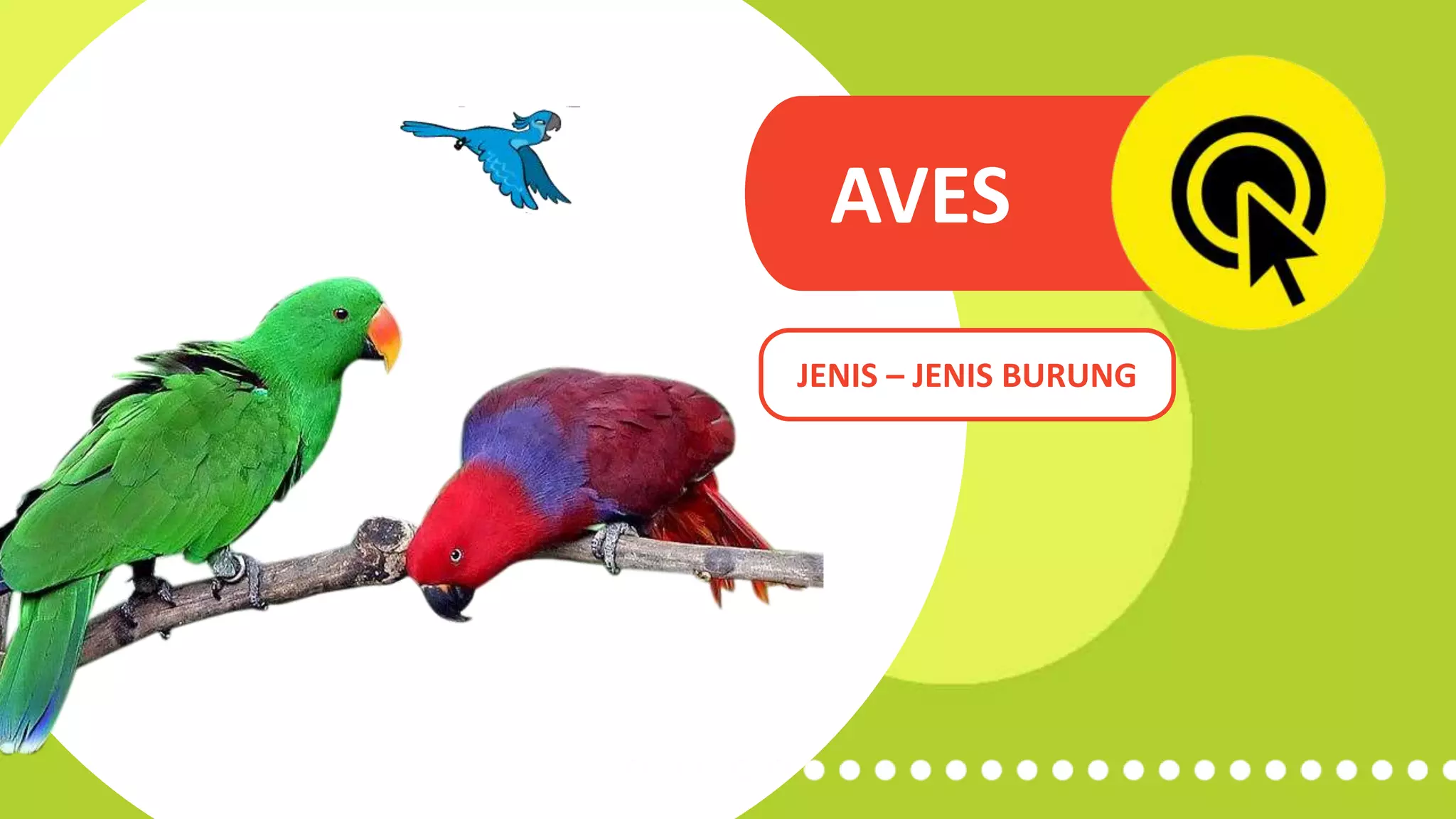 Organ gerak hewan dan manusia - mengenal hewan vertebrata | smartpoint ...