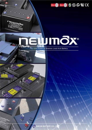 Brochure 2015-Newmax Battery-Ss | PDF
