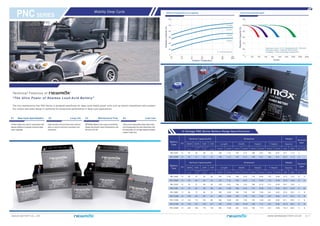 Brochure 2015-Newmax Battery-Ss | PDF