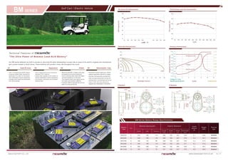 Brochure 2015-Newmax Battery-Ss | PDF