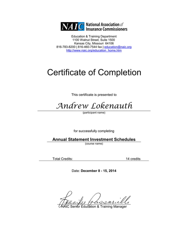 NAIC | PDF