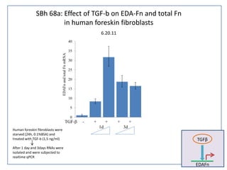 Sofia presentation scleroderma | PDF | Endocrine and Metabolic Diseases | Diseases and Conditions