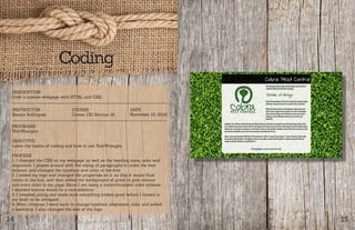 Portfolio Project - Hannah Collier | PDF