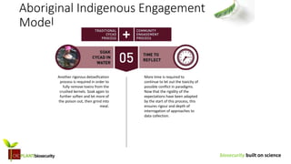 Building resilience in Indigenous communities through engagement | PPT