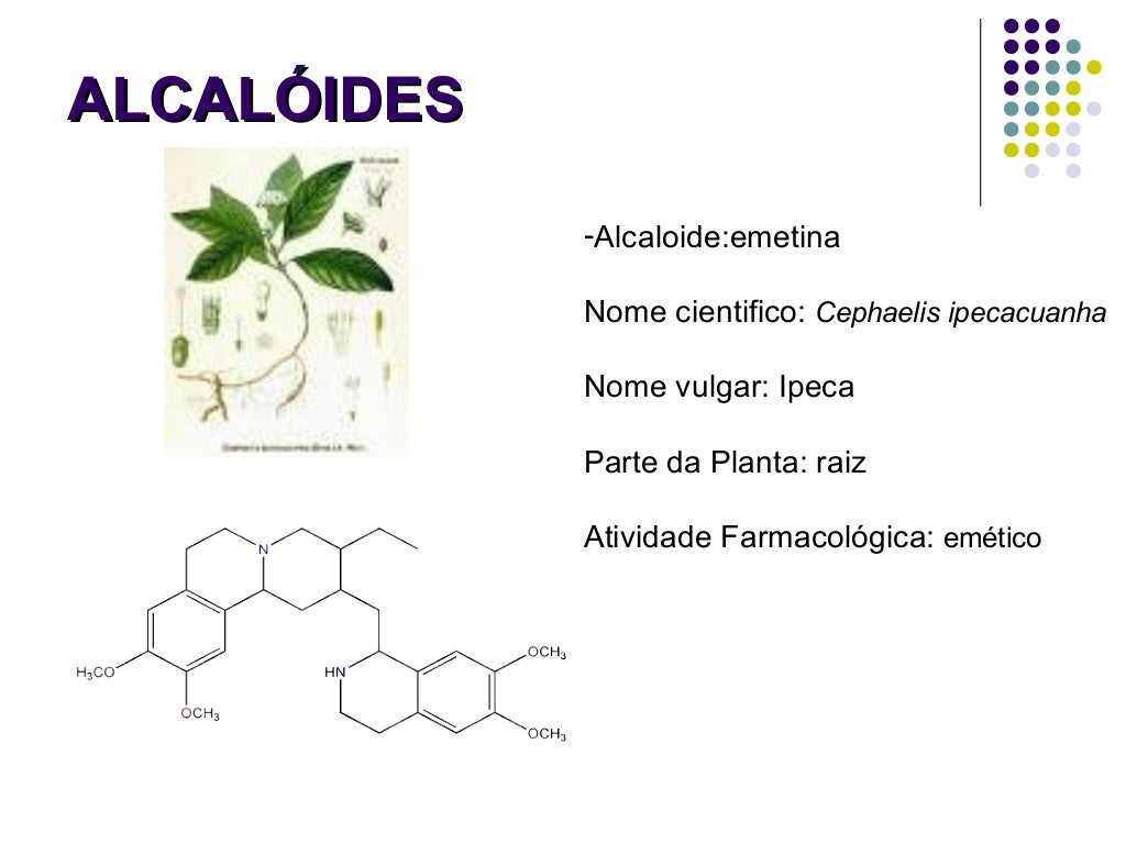 13 alcaloides