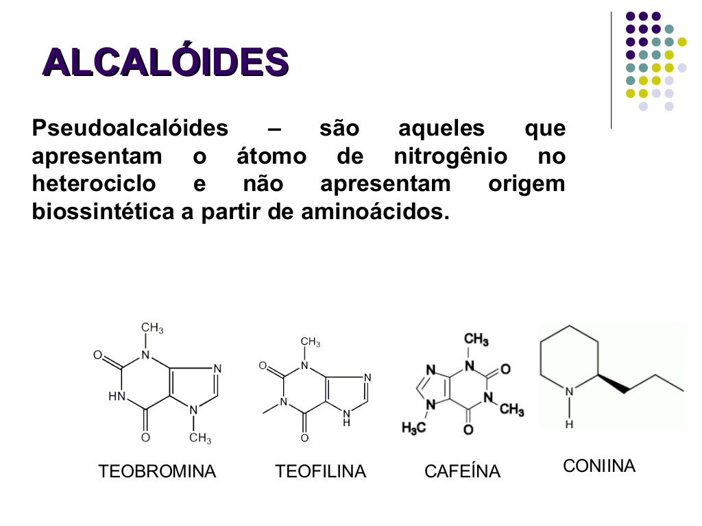 13 alcaloides