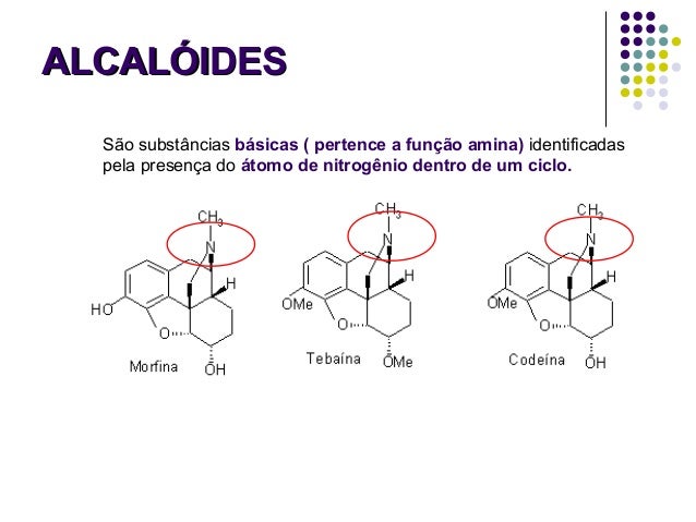 13 alcaloides