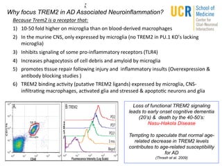 13alzforum carson | PPT