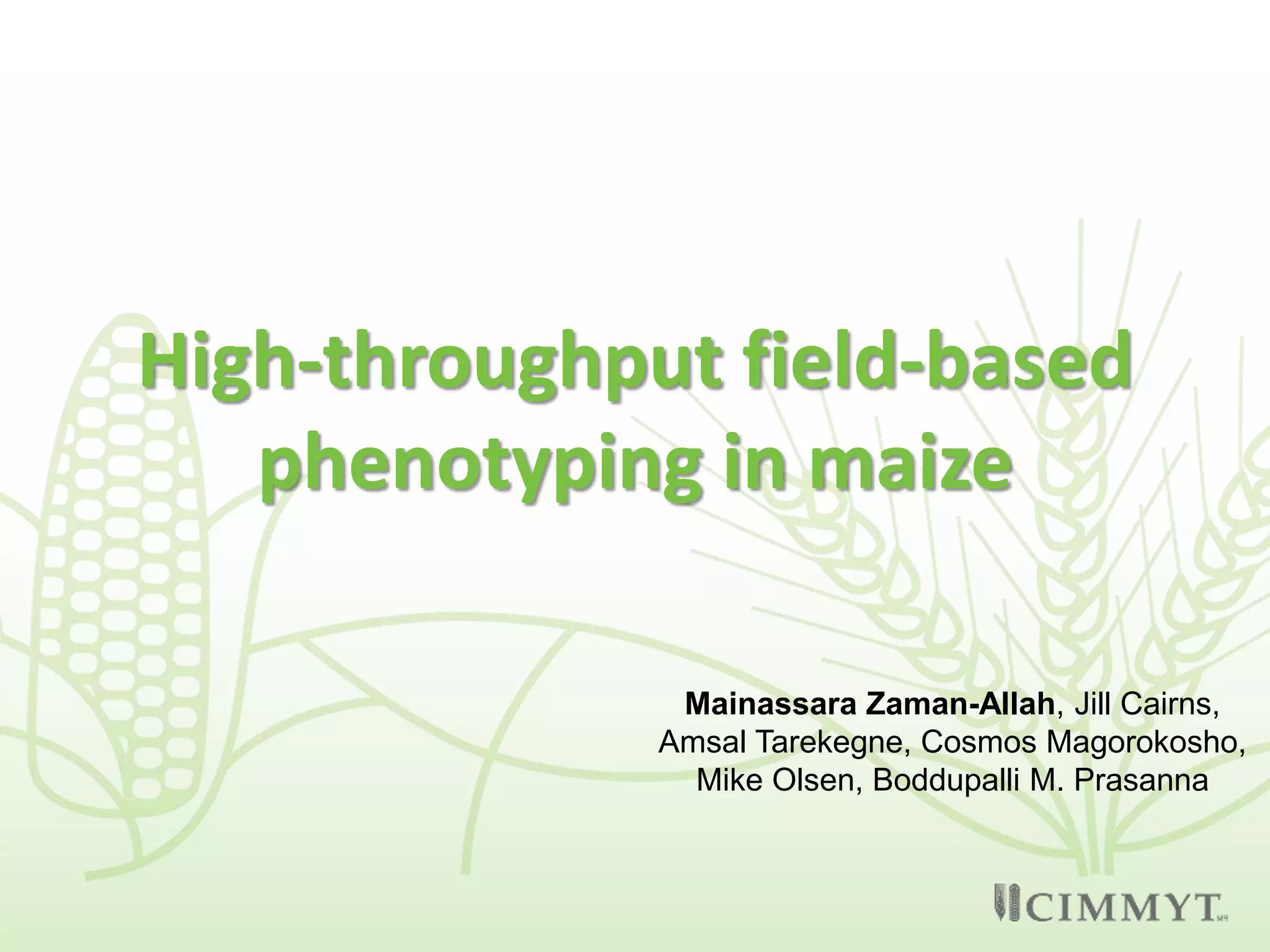 High-throughput field-based phenotyping in maize | PPTX