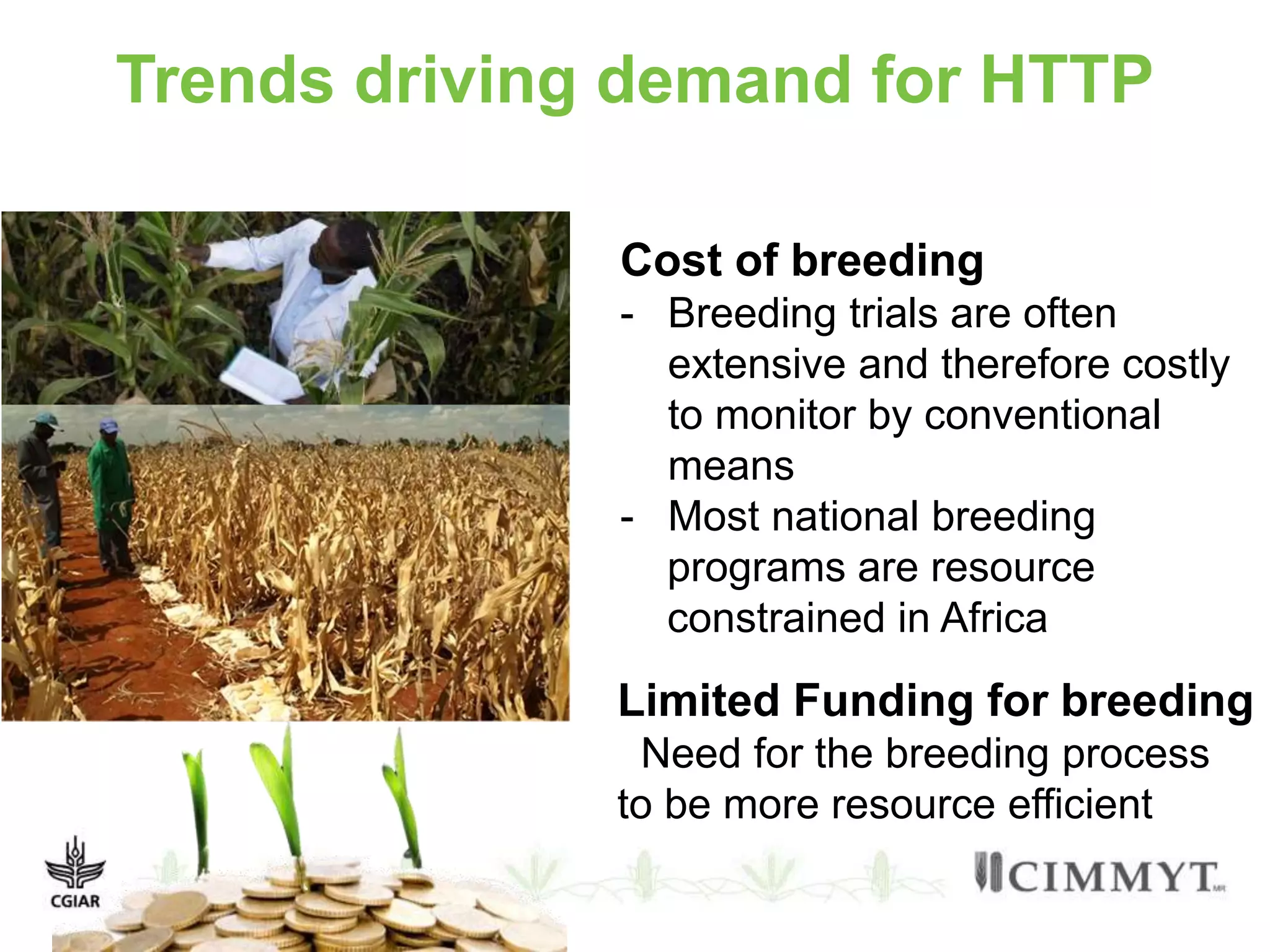 High-throughput field-based phenotyping in maize | PPT