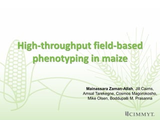 High-throughput field-based phenotyping in maize | PPT