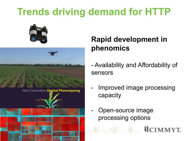 High-throughput field-based phenotyping in maize | PPT