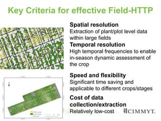High-throughput field-based phenotyping in maize | PPT