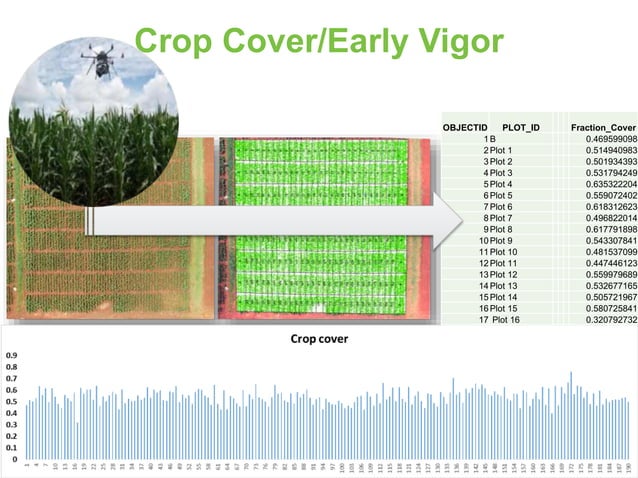 High-throughput field-based phenotyping in maize | PPT