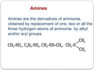 1313 Amines 1.pptx