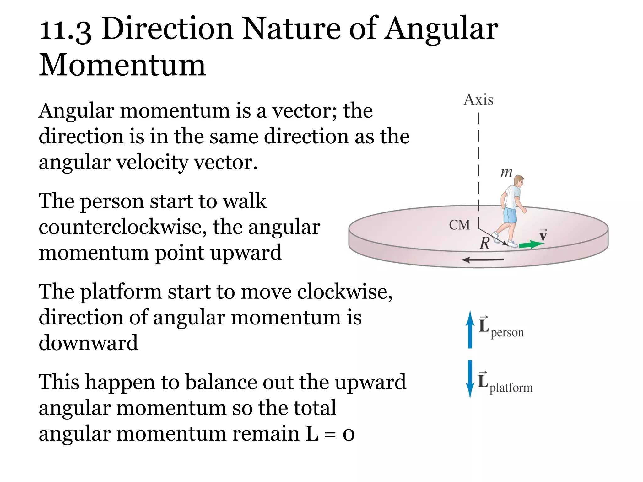 13 angular momentum | PPT