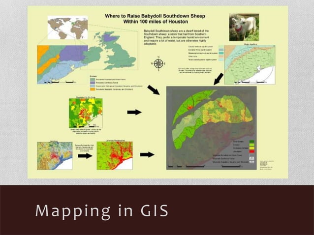 13Aportfolio_EmmaLaney | PPTX