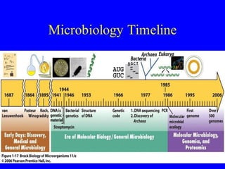 13 April 2021 History and Development of Microbiology (1).pdf