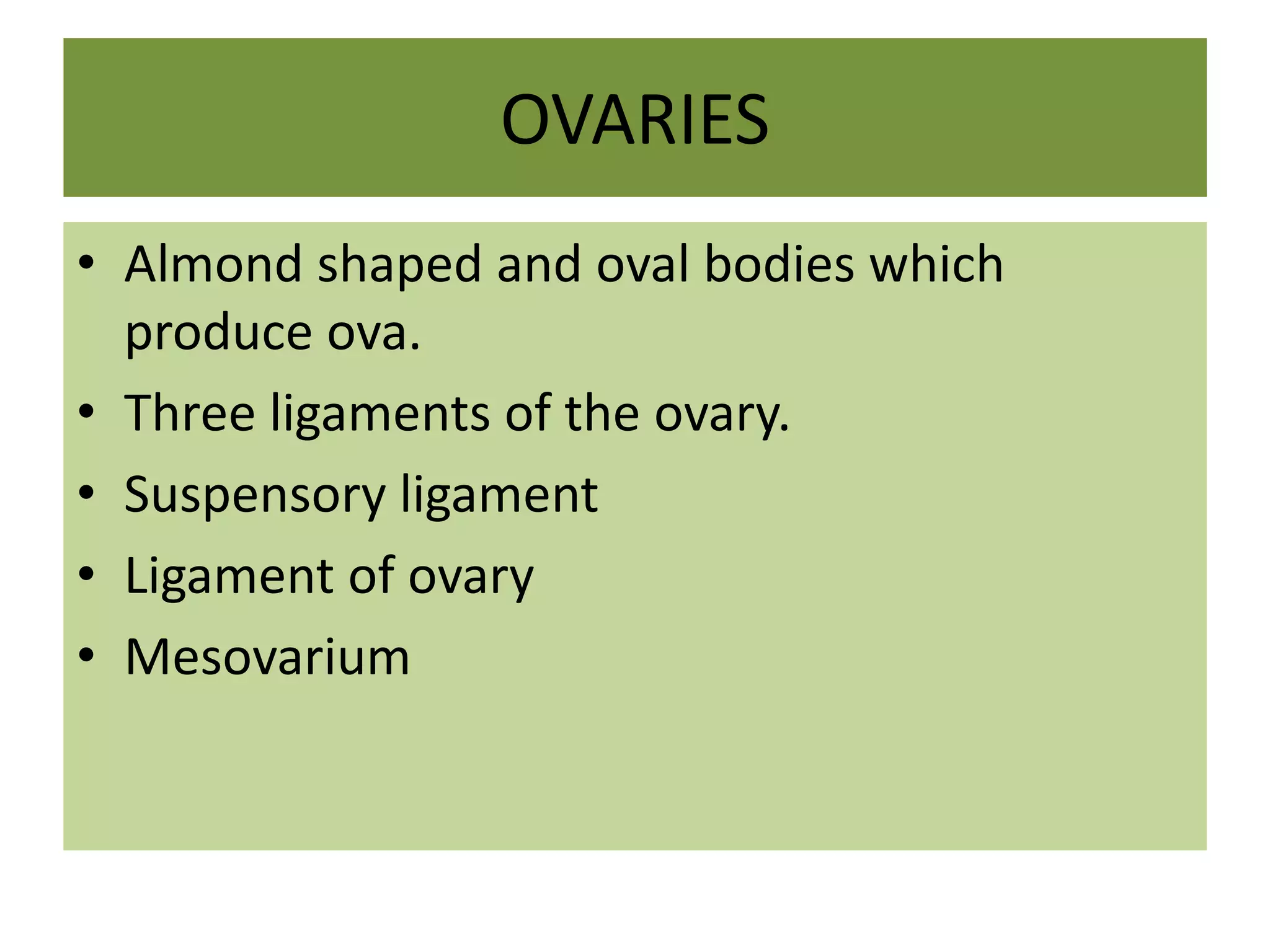 PELVIC Cavity Overview Of Male And Female | PPTX