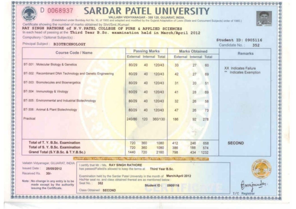 B Sc marksheet