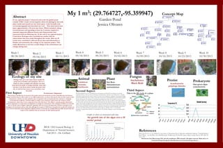 Poster My 1m^3 24 x 36-1 | PPT