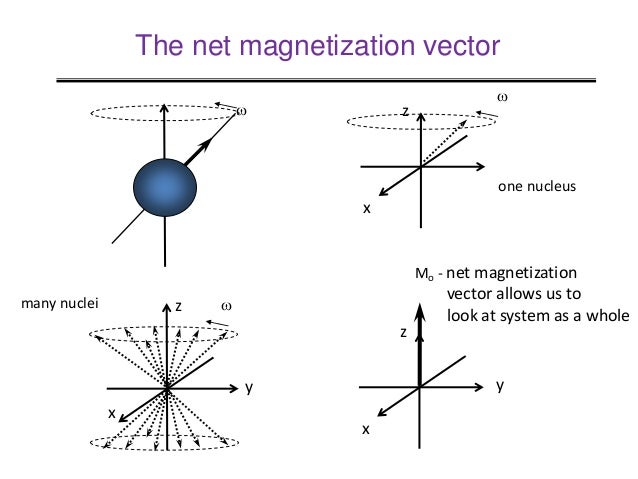 C13 NUCLEAR MAGNETIC RESONANCE
