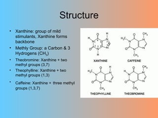 Neuropharmacology: Caffeine | PPT