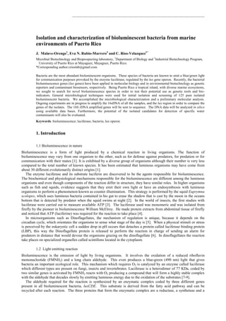 Current Research, Technology Bioluminescent | PDF