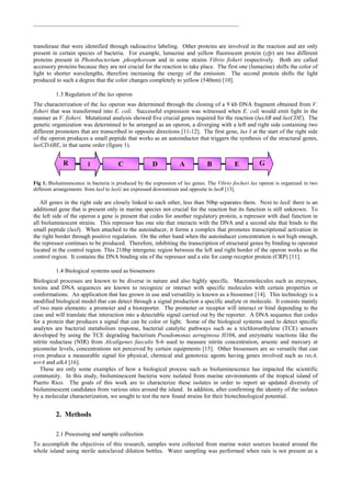 Current Research, Technology Bioluminescent | PDF