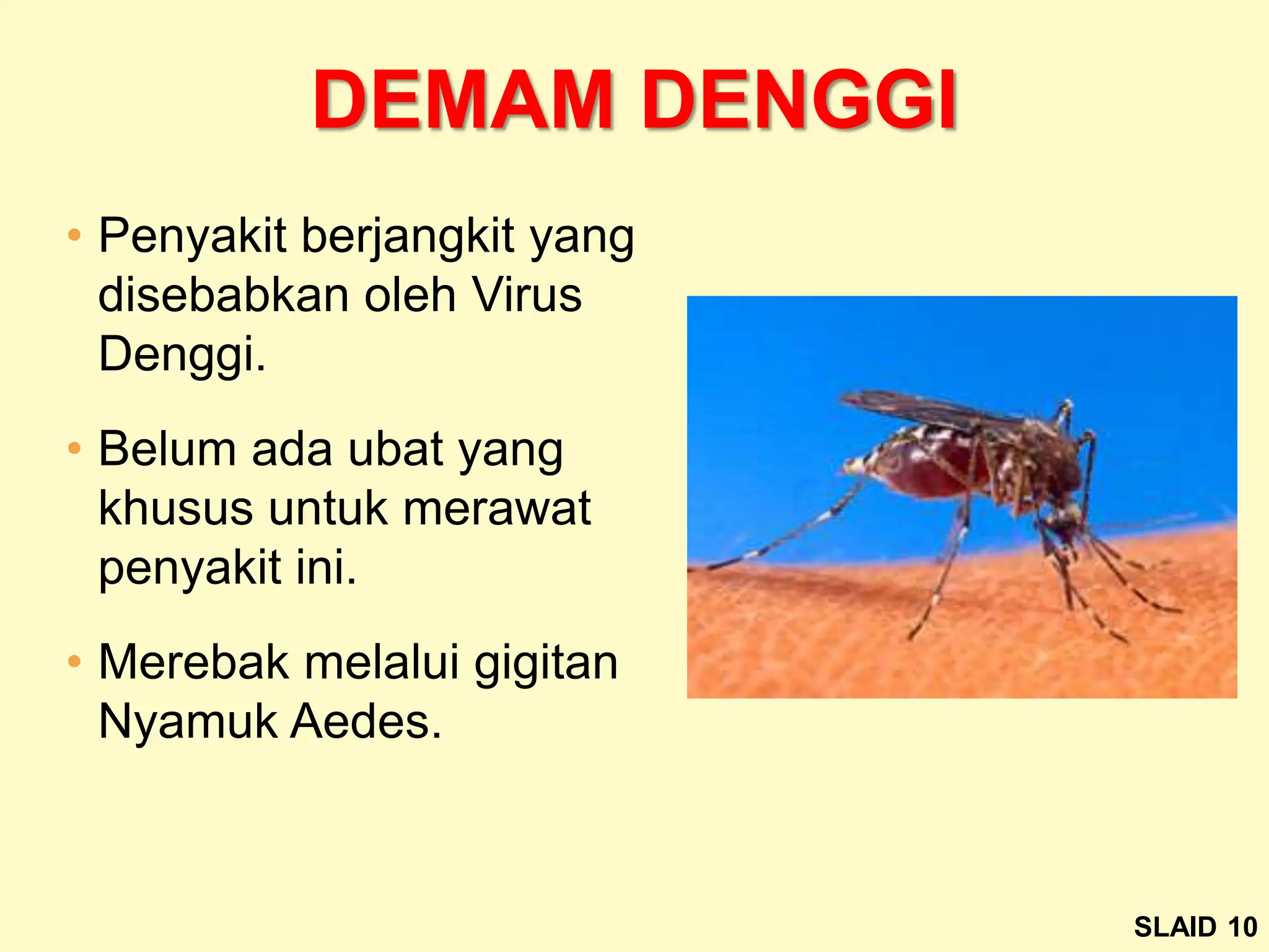 Cegah Denggi | PPT