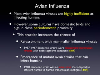Influenza | PPT