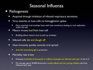 Influenza | PPT