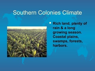 13 Colonies de estados unidos de norteamerica | PPT