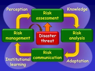 A Global Perspective on Disaster Management | PDF