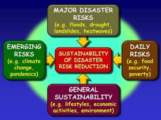 A Global Perspective on Disaster Management | PDF