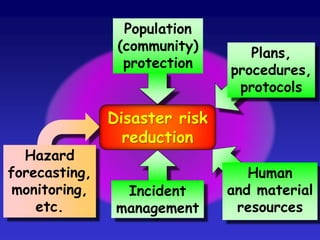 A Global Perspective on Disaster Management | PDF