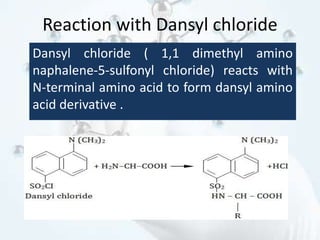 PROTEIN CHEMISTRY Polypeptide backbone, covalent and non covalent ...