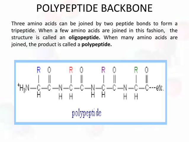 PROTEIN CHEMISTRY Polypeptide backbone, covalent and non covalent interaction , end group ...