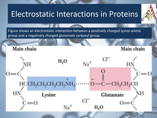 PROTEIN CHEMISTRY Polypeptide backbone, covalent and non covalent ...