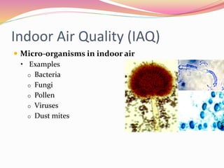 Indoor Air Quality (IAQ) | PPTX