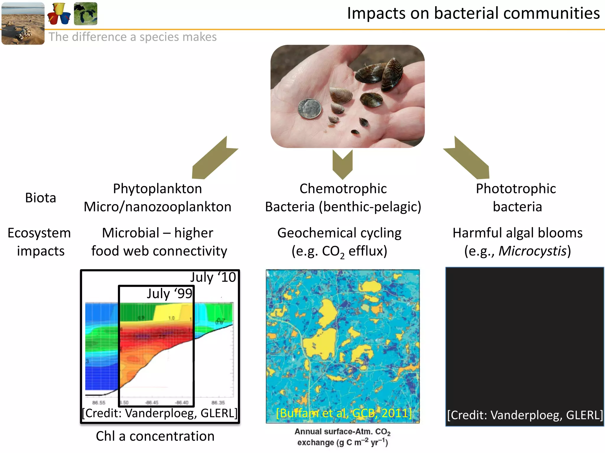 The Difference a Species Makes on Freshwater Microbial Communities | PDF