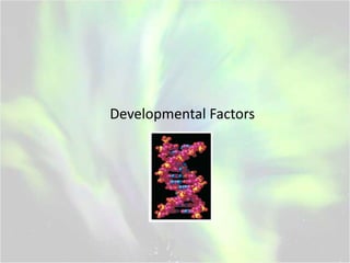 Development and personality | PPT