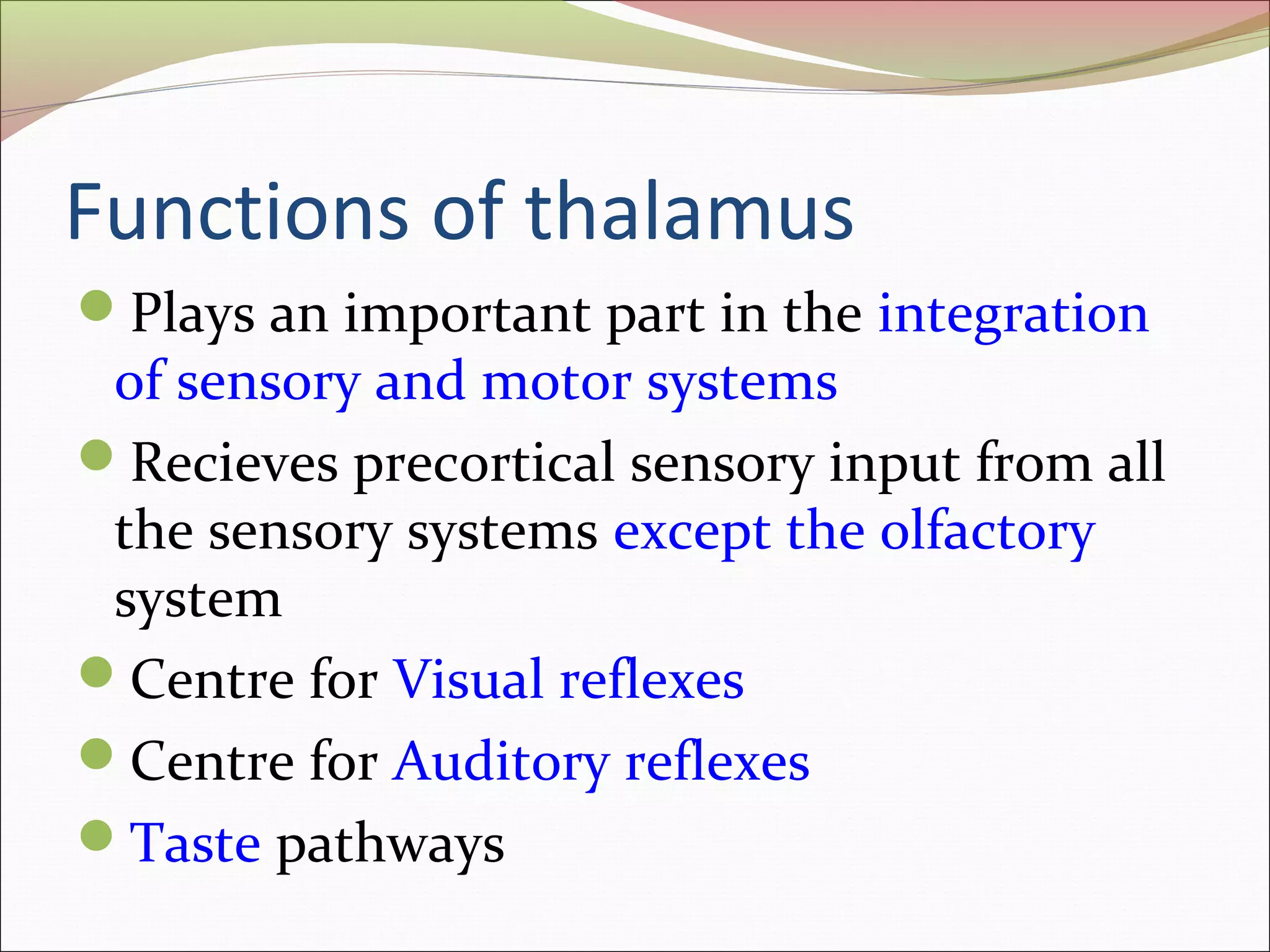 Diencephalon | PPT